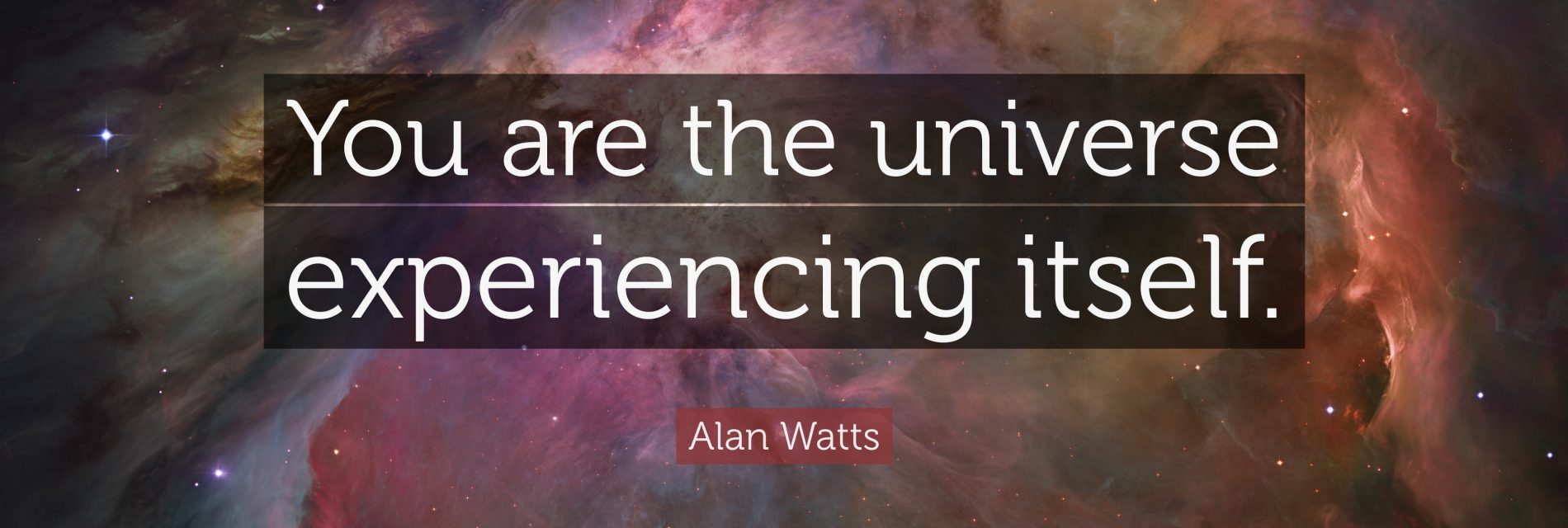 Posts – Reality is One